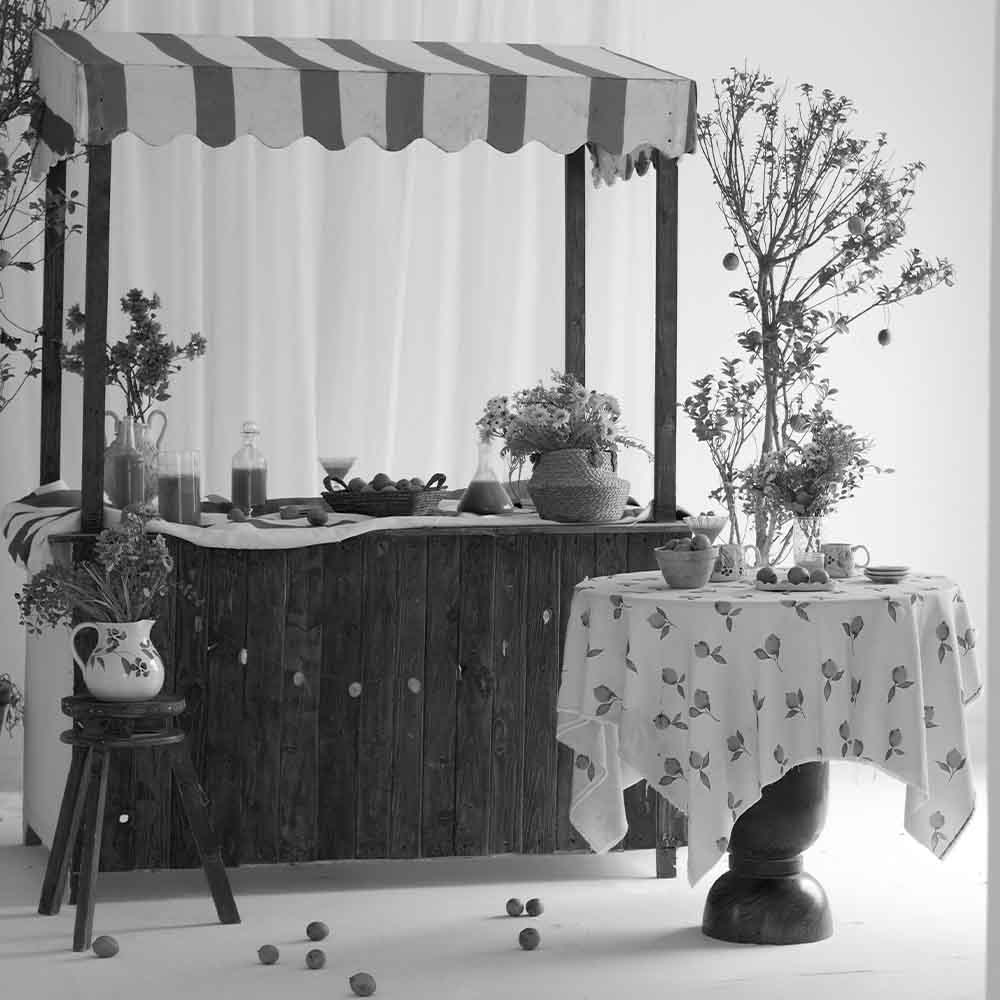 Benish 'Lemon Grove' Pop-Up Set Design for Brand Shoot By Art Lounge